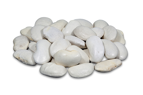 Judión de la Granja - La Real