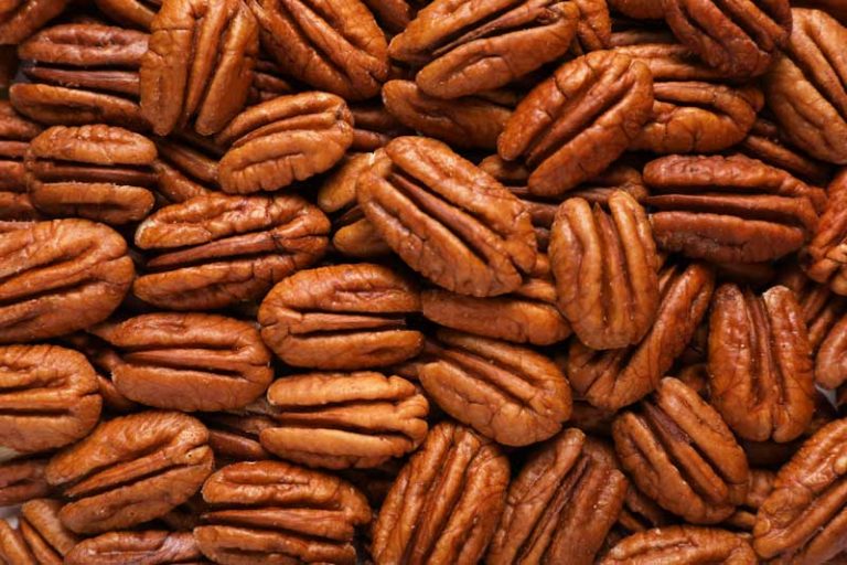 Nueces pecanas, ¿por qué deberías comerlas y cuáles son sus beneficios ...